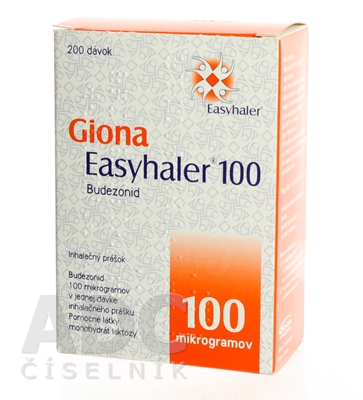 GIONA EASYHALER 100 - ADC.sk