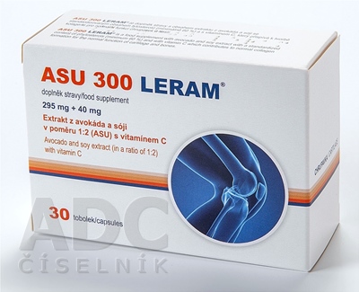 ASU 300 LERAM - ADC.sk